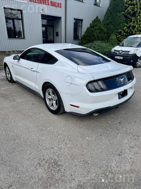 Balts Ford Mustang 2020 Ogre, ar dzinēja tilpumu 2.30 L un nobraukumu 38 tūkst. km par 22500 €, foto 5 vietnē AUTOMOTO.COM.LV