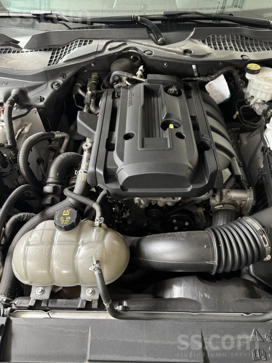 White Ford Mustang 2020 in Ogre, with an engine capacity of 2.30 L and mileage of 38 thousand km for 22500 €, photo 7 on AUTOMOTO.COM.LV