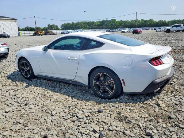 White Ford Mustang 2025 in Vilnius, with an engine capacity of 2.25 L and mileage of 22 thousand km for 11999 €, photo 2 on AUTOMOTO.COM.LV