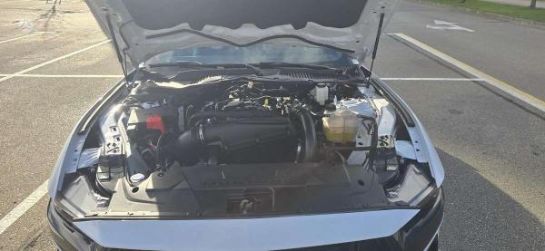 White Ford Mustang 2025 in Klaipeda, with an engine capacity of 2.25 L and mileage of 2 thousand km for 28888 €, photo 8 on AUTOMOTO.COM.LV