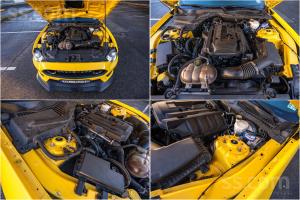 Yellow Ford Mustang 2018 in Riga, with an engine capacity of 2.30 L and mileage of 180 thousand km for 19200 €, photo 11 on AUTOMOTO.COM.LV