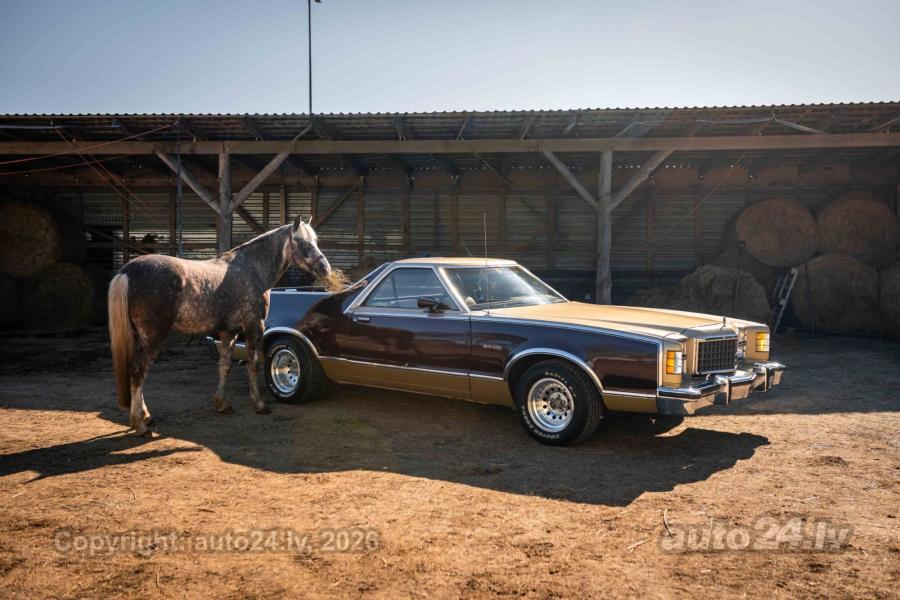 Brown Ford Ranchero 1978 in Tallinn, with an engine capacity of 6.60 L and mileage of 72 thousand km for 14000 €, photo 13 on AUTOMOTO.COM.LV