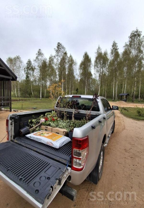 Pelēks Ford Ranger 2014 Rīga, ar dzinēja tilpumu 2.20 L un nobraukumu 247 tūkst. km par 12000 €, foto 6 vietnē AUTOMOTO.COM.LV
