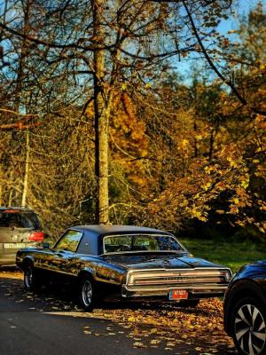 Black Ford Thunderbird 1971 in Vilnius, with an engine capacity of 7.03 L and mileage of 105 thousand km for 15000 €, photo 25 on AUTOMOTO.COM.LV