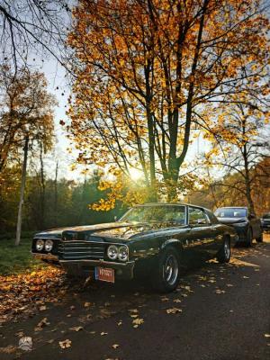 Black Ford Thunderbird 1971 in Vilnius, with an engine capacity of 7.03 L and mileage of 105 thousand km for 15000 €, photo 29 on AUTOMOTO.COM.LV
