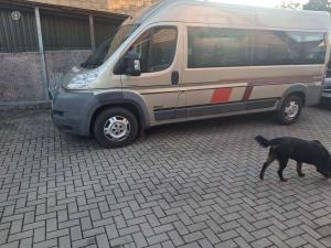 White Ford Transit 2015 in Jurbarkas, with an engine capacity of 2.20 L and mileage of 251 thousand km for 12300 €, photo 52 on AUTOMOTO.COM.LV