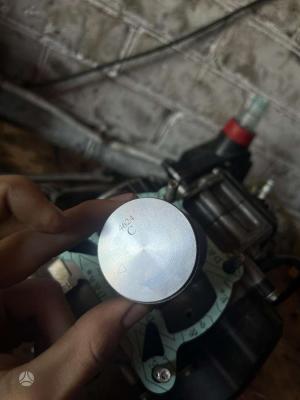 Melns Gas Gas MC 2021 Tauragė, ar dzinēja tilpumu 85.00 L un nobraukumu 1 tūkst. km par 2500 €, foto 17 vietnē AUTOMOTO.COM.LV