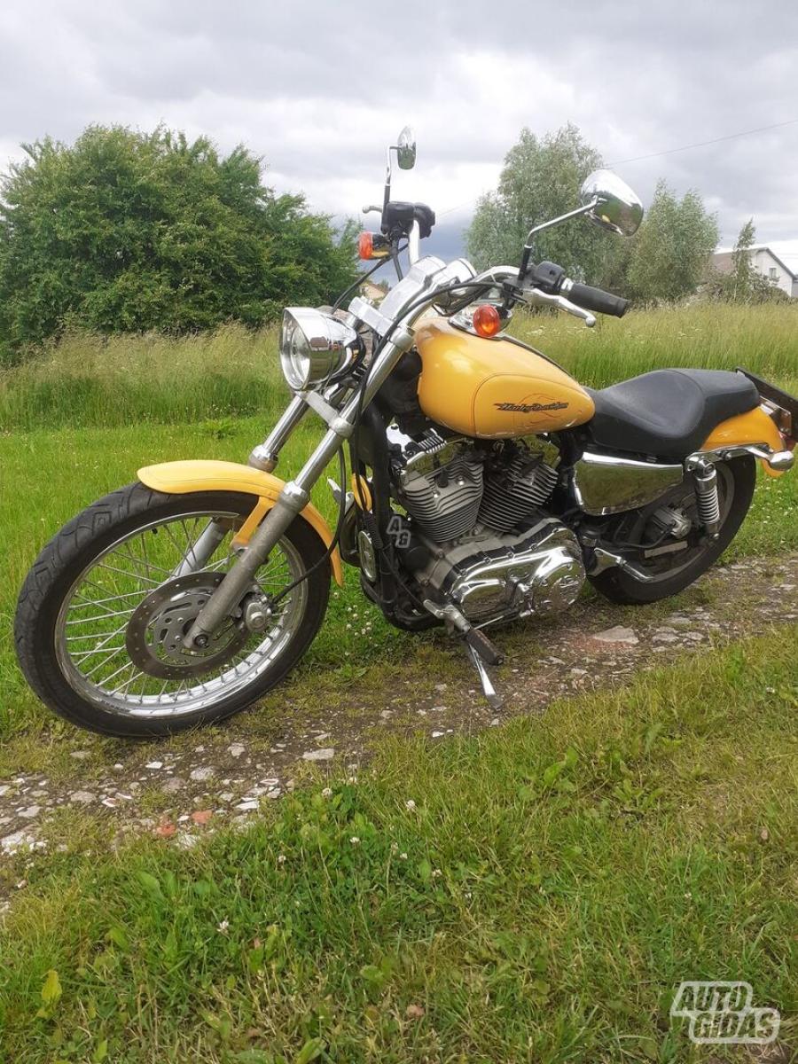 Harley-Davidson 883 2005 in Panevezys, with an engine capacity of 0.00 L and mileage of 0 thousand km for 3700 €, photo 11 on AUTOMOTO.COM.LV
