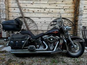 Harley-Davidson FLSTC 1986 Rīga, ar dzinēja tilpumu 1.40 L un nobraukumu 0 tūkst. km par 11000 €, foto 10 vietnē AUTOMOTO.COM.LV
