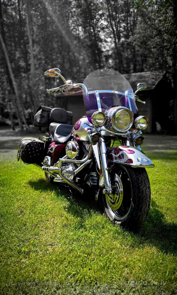 Violets Harley-Davidson Road King 2001 Tallina, ar dzinēja tilpumu 1.34 L un nobraukumu 0 tūkst. km par 7500 €, foto 1 vietnē AUTOMOTO.COM.LV