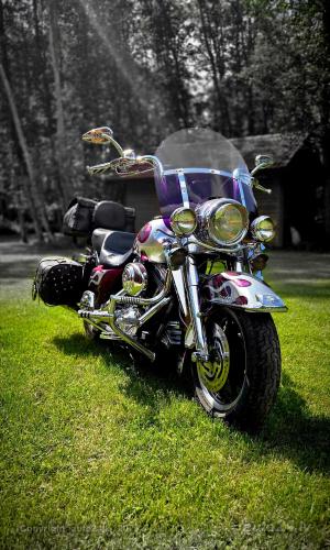 Фиолетовый Харли-Девидсон Road King 2001 в Таллин, объемом двигателя 1.34 л и пробегом 0 тыс. км за 7500 €, фото 1 на AUTOMOTO.COM.LV