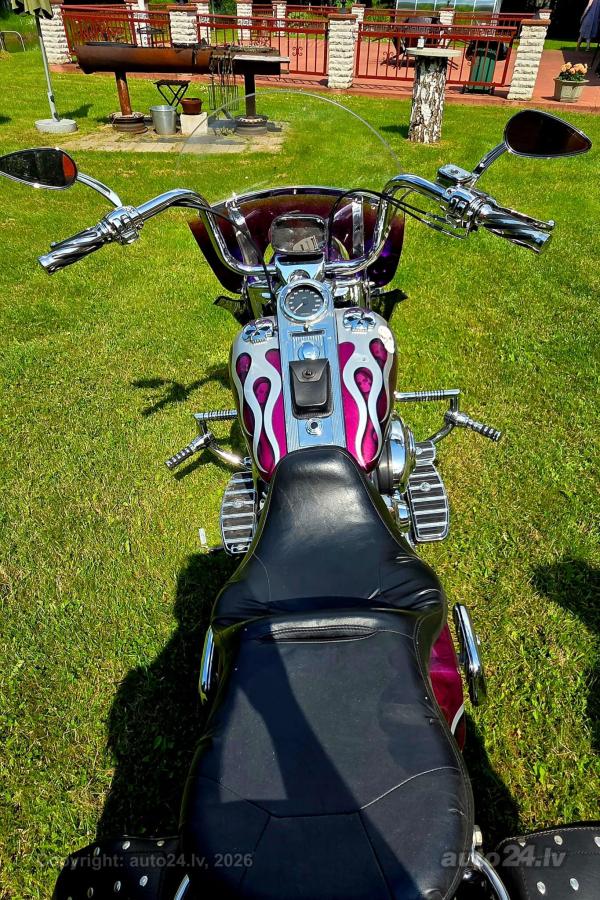 Фиолетовый Харли-Девидсон Road King 2001 в Таллин, объемом двигателя 1.34 л и пробегом 0 тыс. км за 7500 €, фото 5 на AUTOMOTO.COM.LV