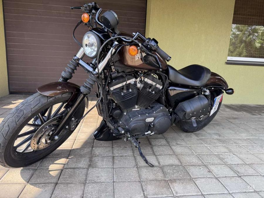 Brown Harley-Davidson Sportster 2020 in Alytus, with an engine capacity of 0.88 L and mileage of 11 thousand km for 6500 €, photo 7 on AUTOMOTO.COM.LV