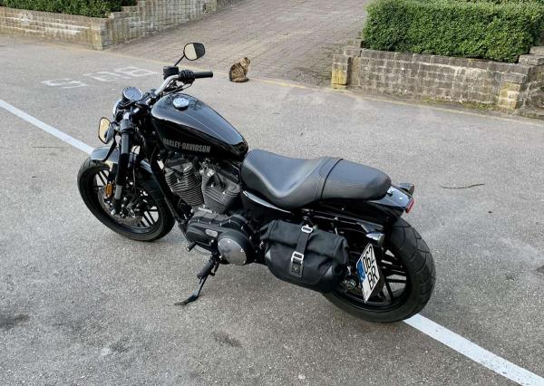 Harley-Davidson Sportster 2016 in Klaipeda, with an engine capacity of 1.20 L and mileage of 11 thousand km for 7800 €, photo 2 on AUTOMOTO.COM.LV