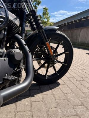Harley-Davidson Sportster 2017 Rīga, ar dzinēja tilpumu 0.88 L un nobraukumu 0 tūkst. km par 7600 €, foto 11 vietnē AUTOMOTO.COM.LV