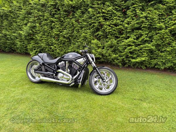 Черный Харли-Девидсон V-Rod 2002 в Таллин, объемом двигателя 1.13 л и пробегом 13 тыс. км за 30000 €, фото 5 на AUTOMOTO.COM.LV