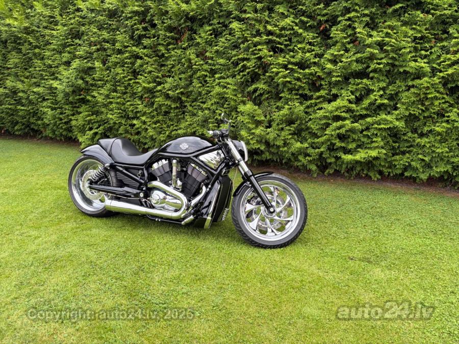 Черный Харли-Девидсон V-Rod 2002 в Таллин, объемом двигателя 1.13 л и пробегом 13 тыс. км за 30000 €, фото 6 на AUTOMOTO.COM.LV