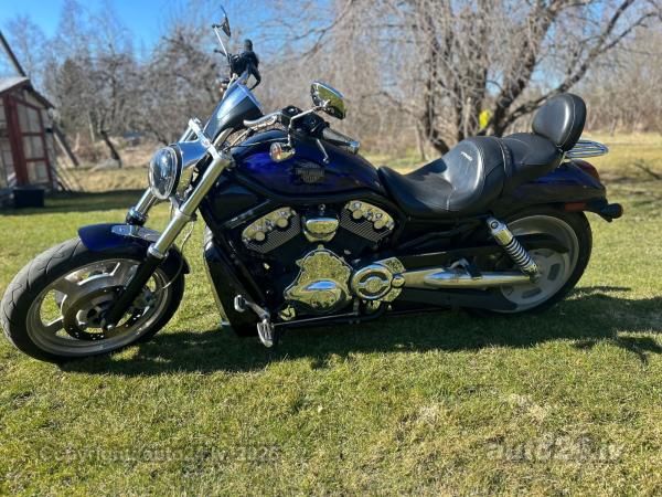 Zils Harley-Davidson V-Rod 2003 Tallina, ar dzinēja tilpumu 1.13 L un nobraukumu 36 tūkst. km par 7300 €, foto 1 vietnē AUTOMOTO.COM.LV