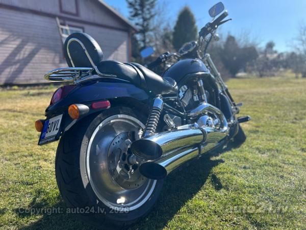 Zils Harley-Davidson V-Rod 2003 Tallina, ar dzinēja tilpumu 1.13 L un nobraukumu 36 tūkst. km par 7300 €, foto 3 vietnē AUTOMOTO.COM.LV