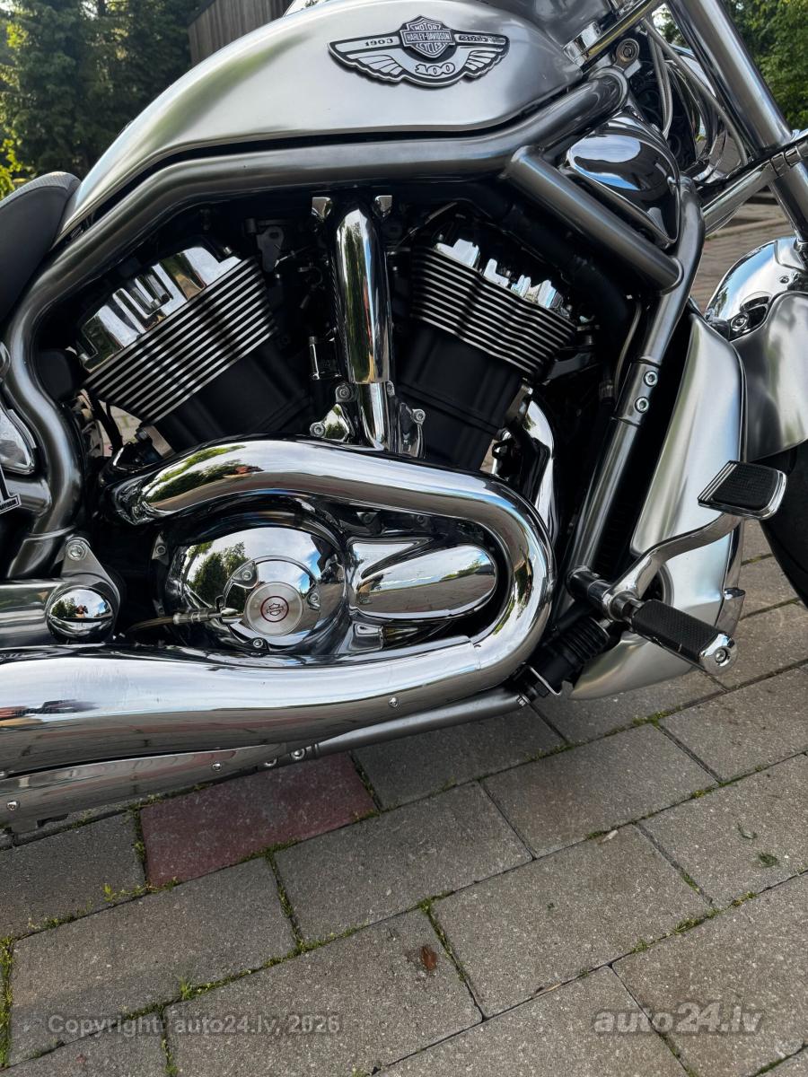 Harley-Davidson V-Rod 2003 in Tallinn, with an engine capacity of 1.13 L and mileage of 3 thousand km for 14900 €, photo 5 on AUTOMOTO.COM.LV