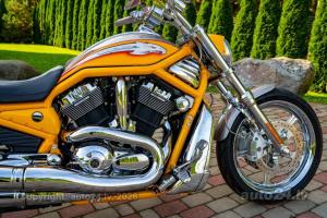 Харли-Девидсон V-Rod 2006 в Таллин, объемом двигателя 1.25 л и пробегом 8 тыс. км за 27000 €, фото 6 на AUTOMOTO.COM.LV