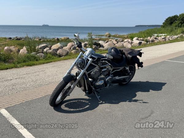 Harley-Davidson V-Rod 2008 Tallina, ar dzinēja tilpumu 1.25 L un nobraukumu 39 tūkst. km par 9700 €, foto 6 vietnē AUTOMOTO.COM.LV