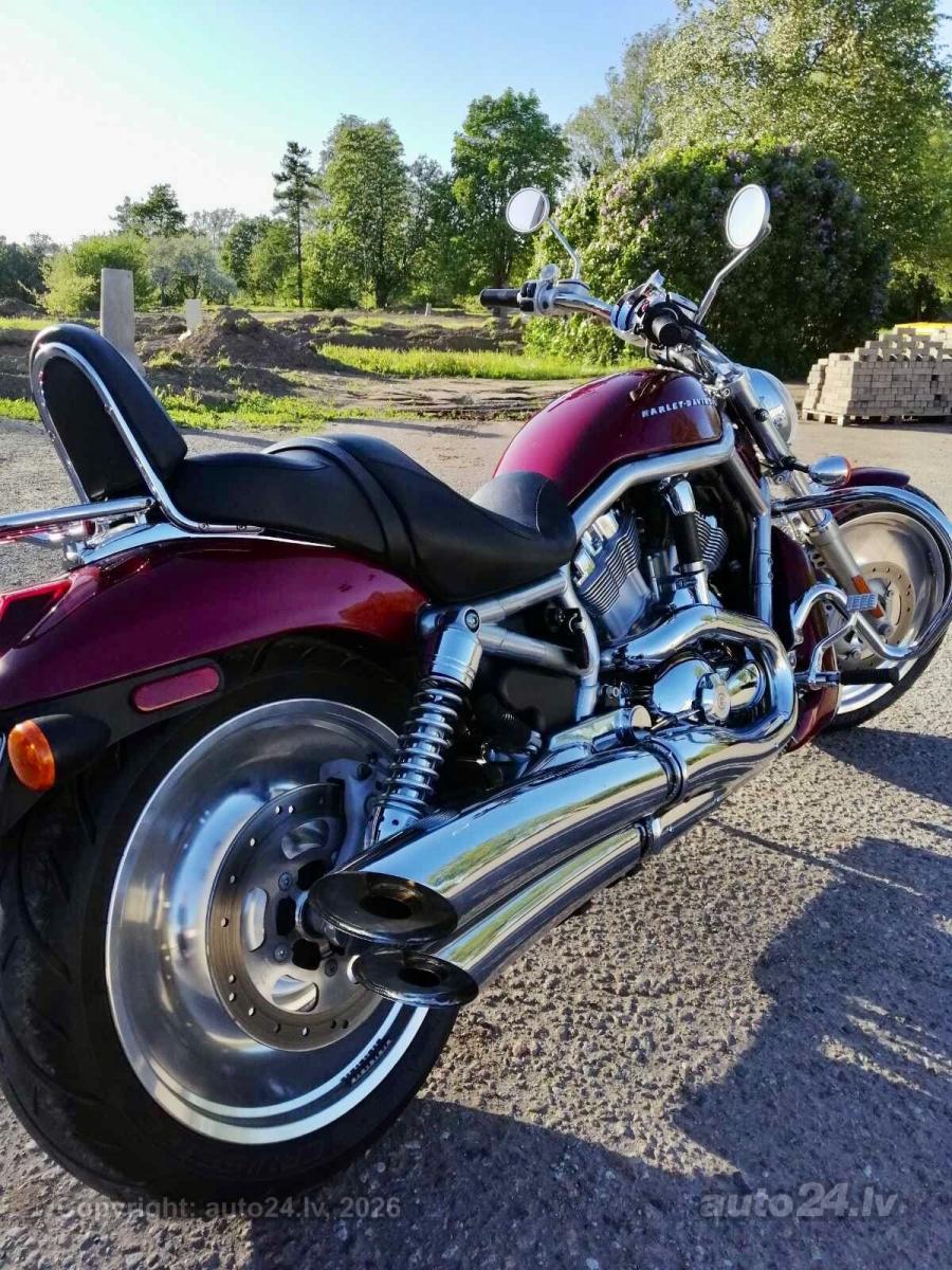 Красный Харли-Девидсон V-Rod 2004 в Йыхви, объемом двигателя 1.20 л и пробегом 7 тыс. км за 8300 €, фото 3 на AUTOMOTO.COM.LV
