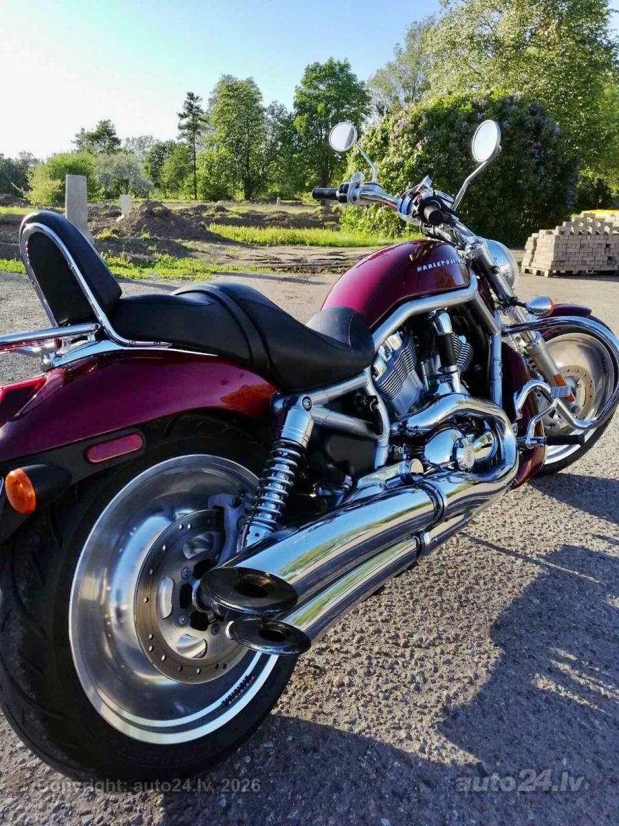 Красный Харли-Девидсон V-Rod 2004 в Таллин, объемом двигателя 1.20 л и пробегом 7 тыс. км за 8300 €, фото 1 на AUTOMOTO.COM.LV