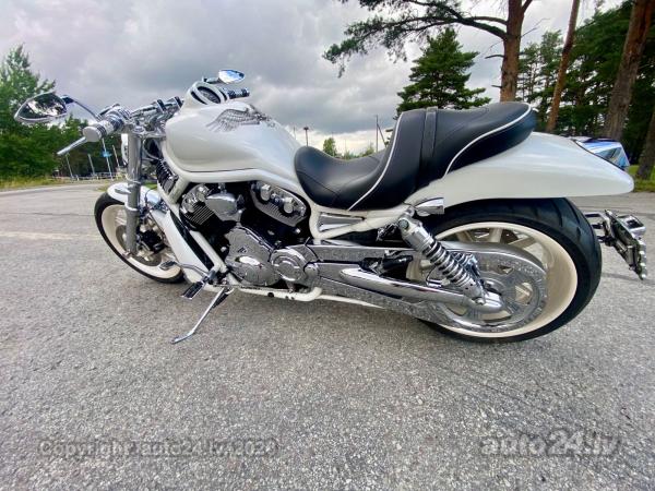 Белый Харли-Девидсон V-Rod 2003 в Таллин, объемом двигателя 1.13 л и пробегом 28 тыс. км за 7700 €, фото 5 на AUTOMOTO.COM.LV