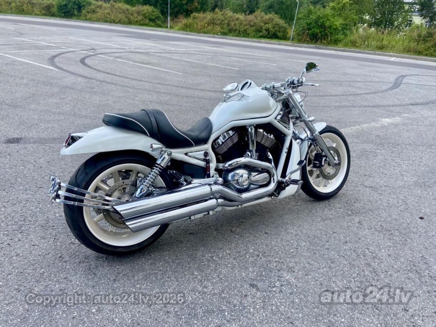 Белый Харли-Девидсон V-Rod 2003 в Таллин, объемом двигателя 1.13 л и пробегом 28 тыс. км за 7700 €, фото 14 на AUTOMOTO.COM.LV