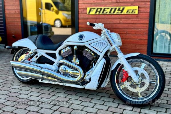 Balts Harley-Davidson V-Rod 2009 Tallina, ar dzinēja tilpumu 1.25 L un nobraukumu 3 tūkst. km par 19900 €, foto 5 vietnē AUTOMOTO.COM.LV