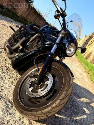 Harley-Davidson VRSCDX 2011 in Riga, with an engine capacity of 1.25 L and mileage of 0 thousand km for 12300 €, photo  on AUTOMOTO.COM.LV