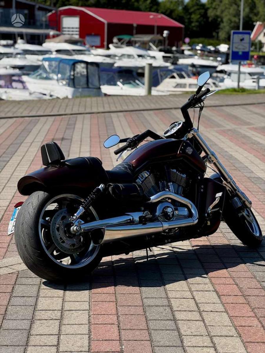 Brown Harley-Davidson VRSCF 2016 in Silute, with an engine capacity of 1.25 L and mileage of 28 thousand km for 13500 €, photo 3 on AUTOMOTO.COM.LV