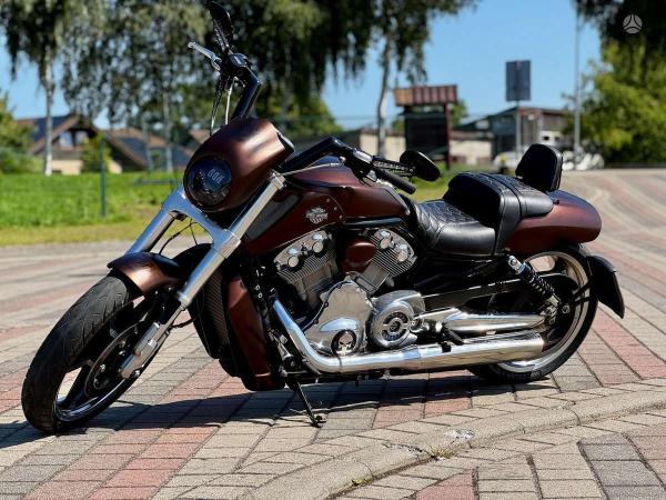 Brown Harley-Davidson VRSCF 2016 in Silute, with an engine capacity of 1.25 L and mileage of 28 thousand km for 13500 €, photo 3 on AUTOMOTO.COM.LV