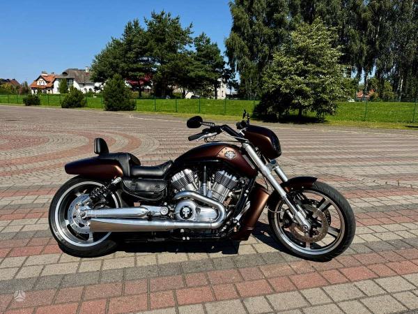 Brown Harley-Davidson VRSCF 2016 in Silute, with an engine capacity of 1.25 L and mileage of 28 thousand km for 13500 €, photo 4 on AUTOMOTO.COM.LV