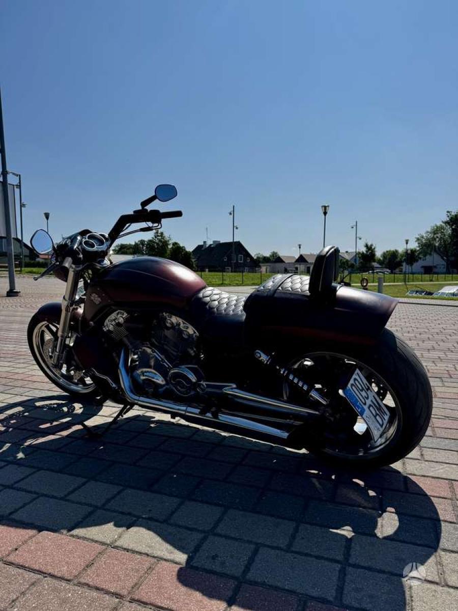 Brown Harley-Davidson VRSCF 2016 in Silute, with an engine capacity of 1.25 L and mileage of 28 thousand km for 13500 €, photo 7 on AUTOMOTO.COM.LV