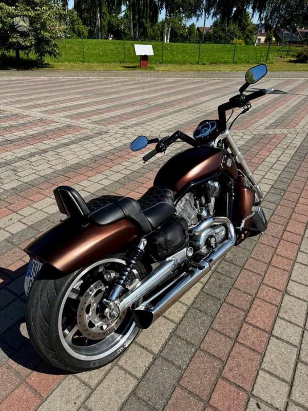 Brown Harley-Davidson VRSCF 2016 in Silute, with an engine capacity of 1.25 L and mileage of 28 thousand km for 13500 €, photo 8 on AUTOMOTO.COM.LV
