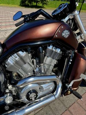 Brown Harley-Davidson VRSCF 2016 in Silute, with an engine capacity of 1.25 L and mileage of 28 thousand km for 13500 €, photo 13 on AUTOMOTO.COM.LV