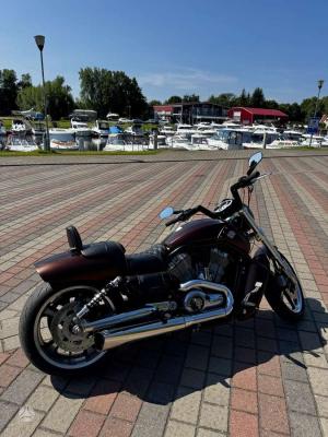 Brown Harley-Davidson VRSCF 2016 in Silute, with an engine capacity of 1.25 L and mileage of 28 thousand km for 13500 €, photo 19 on AUTOMOTO.COM.LV