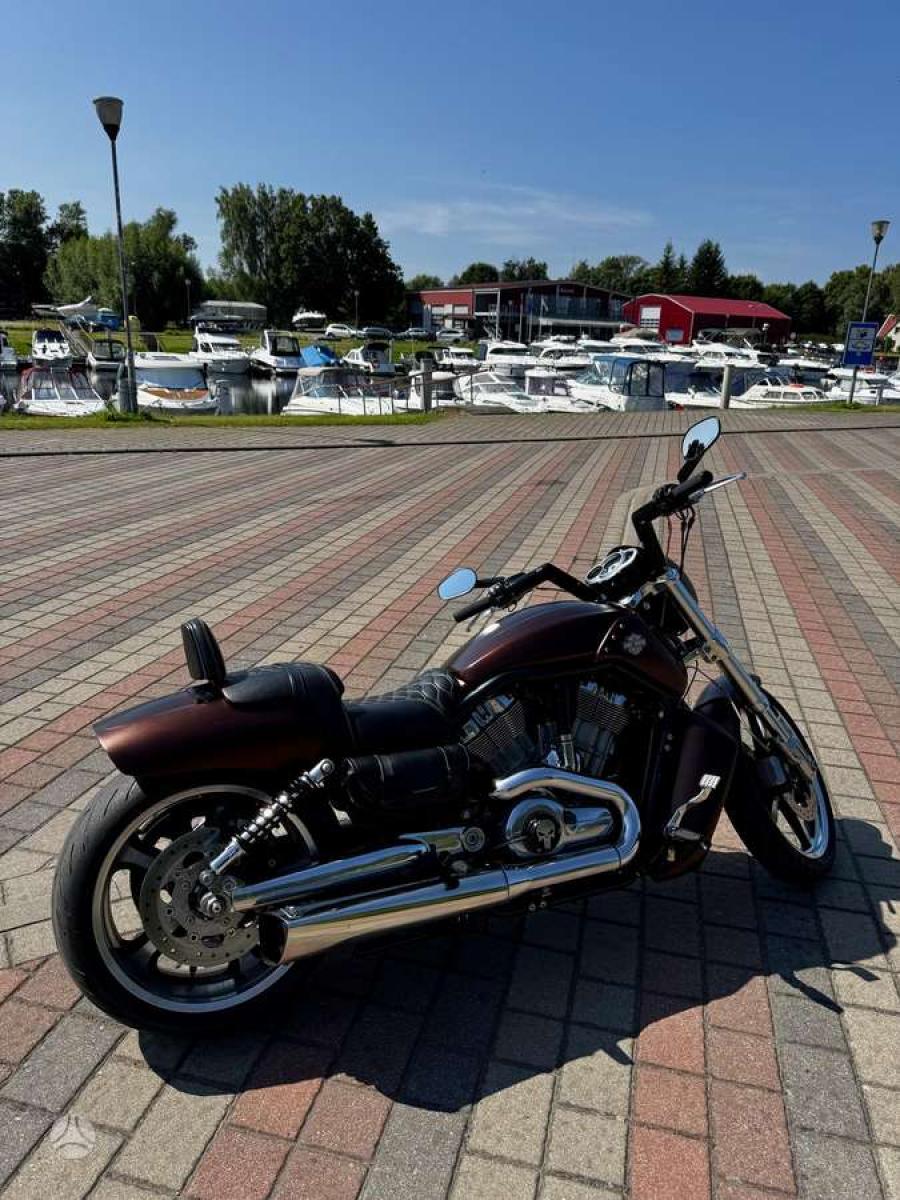 Brown Harley-Davidson VRSCF 2016 in Silute, with an engine capacity of 1.25 L and mileage of 28 thousand km for 13500 €, photo 19 on AUTOMOTO.COM.LV