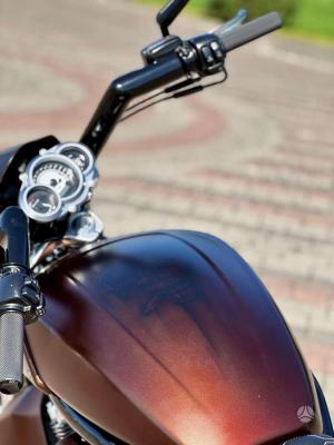 Brown Harley-Davidson VRSCF 2016 in Silute, with an engine capacity of 1.25 L and mileage of 28 thousand km for 13500 €, photo 21 on AUTOMOTO.COM.LV
