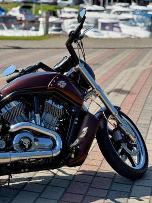 Brown Harley-Davidson VRSCF 2016 in Silute, with an engine capacity of 1.25 L and mileage of 28 thousand km for 13500 €, photo 24 on AUTOMOTO.COM.LV