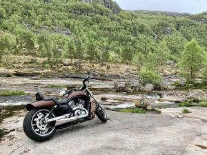 Brown Harley-Davidson VRSCF 2016 in Silute, with an engine capacity of 1.25 L and mileage of 28 thousand km for 13500 €, photo 30 on AUTOMOTO.COM.LV