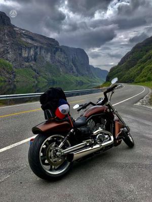 Brown Harley-Davidson VRSCF 2016 in Silute, with an engine capacity of 1.25 L and mileage of 28 thousand km for 13500 €, photo 32 on AUTOMOTO.COM.LV