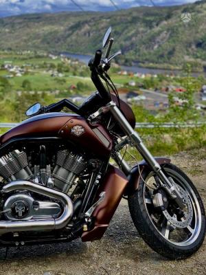 Brown Harley-Davidson VRSCF 2016 in Silute, with an engine capacity of 1.25 L and mileage of 28 thousand km for 13500 €, photo 33 on AUTOMOTO.COM.LV