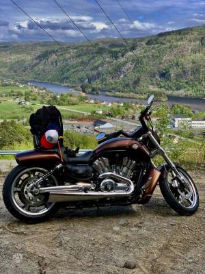 Brown Harley-Davidson VRSCF 2016 in Silute, with an engine capacity of 1.25 L and mileage of 28 thousand km for 13500 €, photo 34 on AUTOMOTO.COM.LV