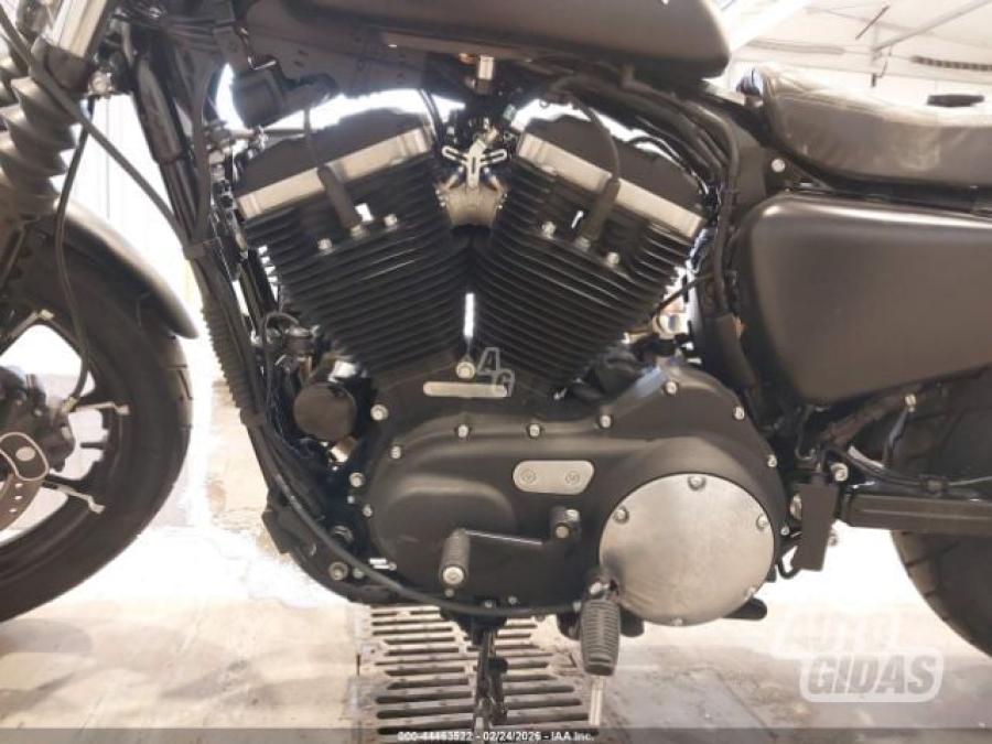 Melns Harley-Davidson XL 0 Klaipėda, ar dzinēja tilpumu 0.00 L un nobraukumu 0 tūkst. km par 3200 €, foto 9 vietnē AUTOMOTO.COM.LV