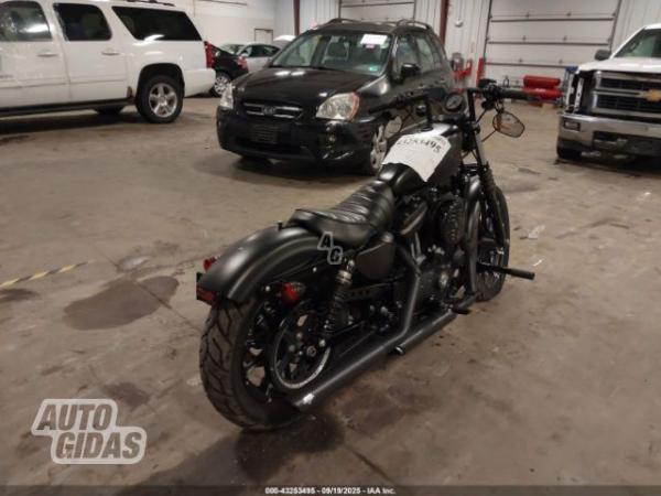Melns Harley-Davidson XL 2019 Klaipėda, ar dzinēja tilpumu 0.88 L un nobraukumu 3 tūkst. km par 4175 €, foto 4 vietnē AUTOMOTO.COM.LV