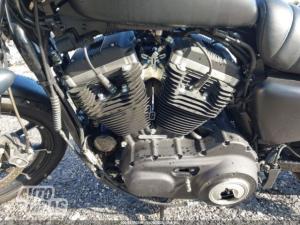 Black Harley-Davidson XL 2019 in Klaipeda, with an engine capacity of 0.88 L and mileage of 1 thousand km for 2000 €, photo 9 on AUTOMOTO.COM.LV