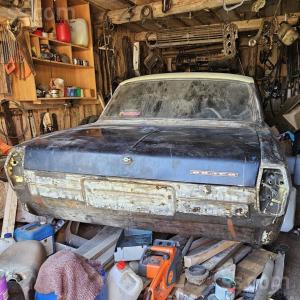 Melns HAZ 24 1990 Krāslava, ar dzinēja tilpumu 2.50 L un nobraukumu 150 tūkst. km par 1300 €, foto  vietnē AUTOMOTO.COM.LV